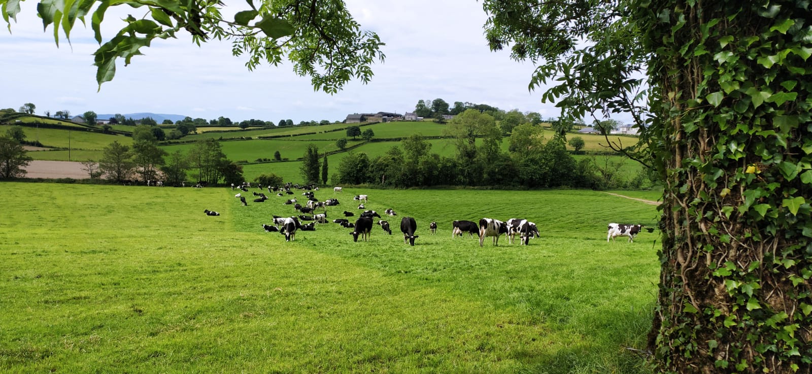 Institut de l'Élevage - Idele.fr